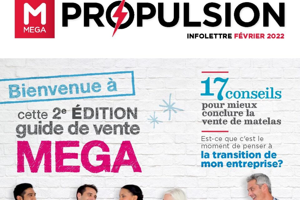 Mega Group Inc.