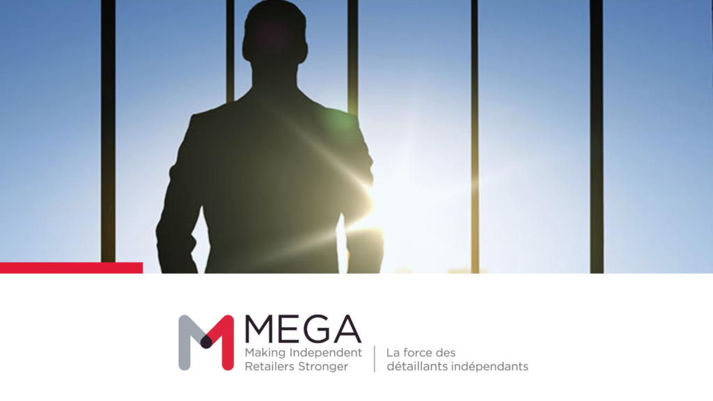Mega Group Announces New CEO - Mega Group Inc.